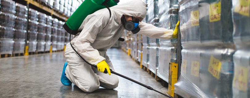 Ship/Vessel Pest Control & Sanitization – Neon Environment Services